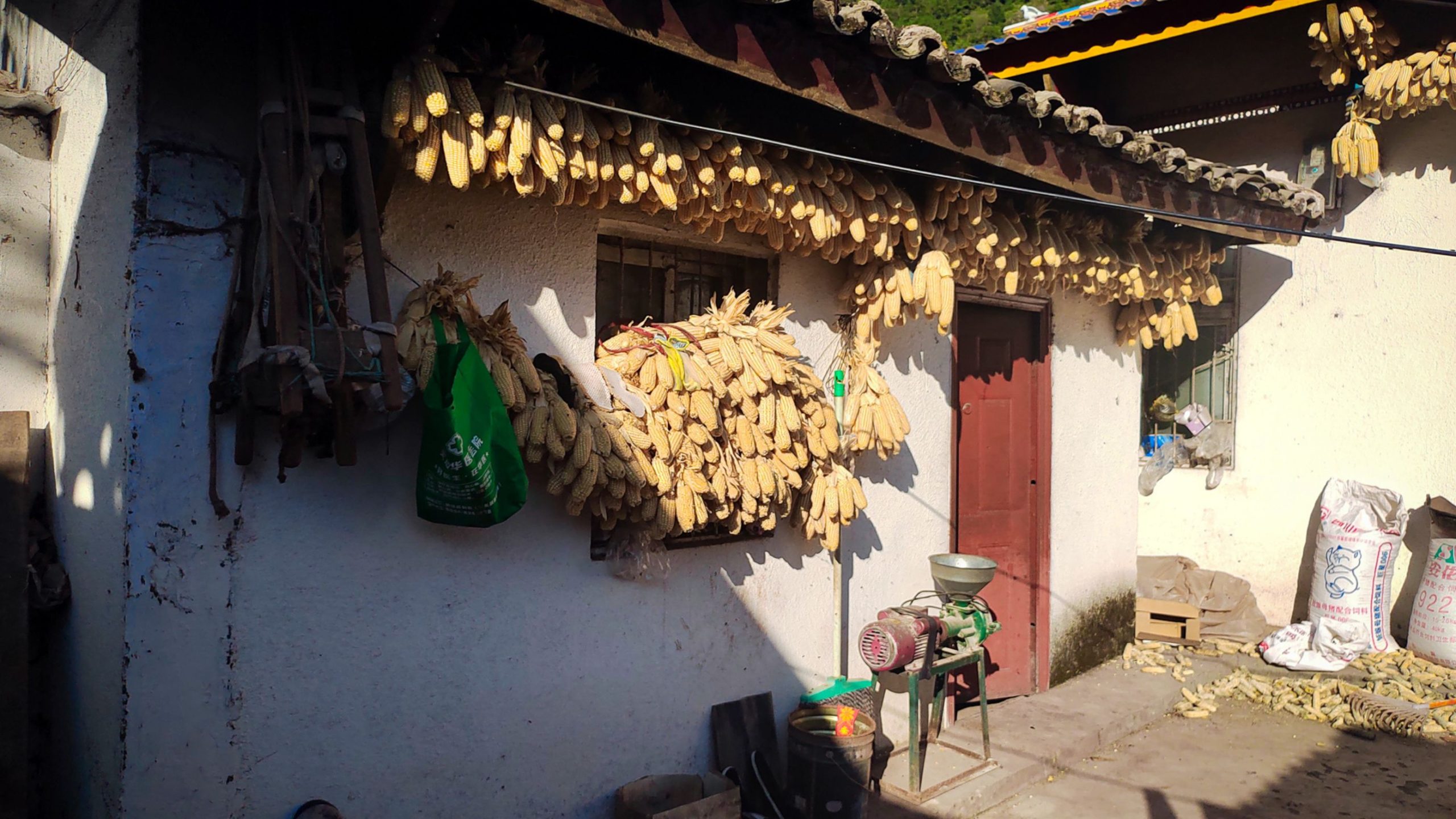 OMY: Qieji Jinxi, A Truly Grateful Girl – Captivating International